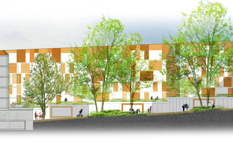 Cité Léopard – Carouge Genève – Paysagestion