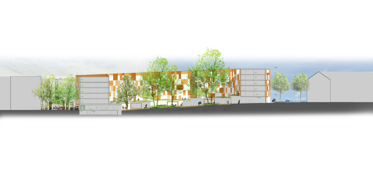 Cité Léopard – Carouge Genève – Paysagestion